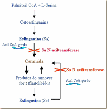 Blog de Bioquímica